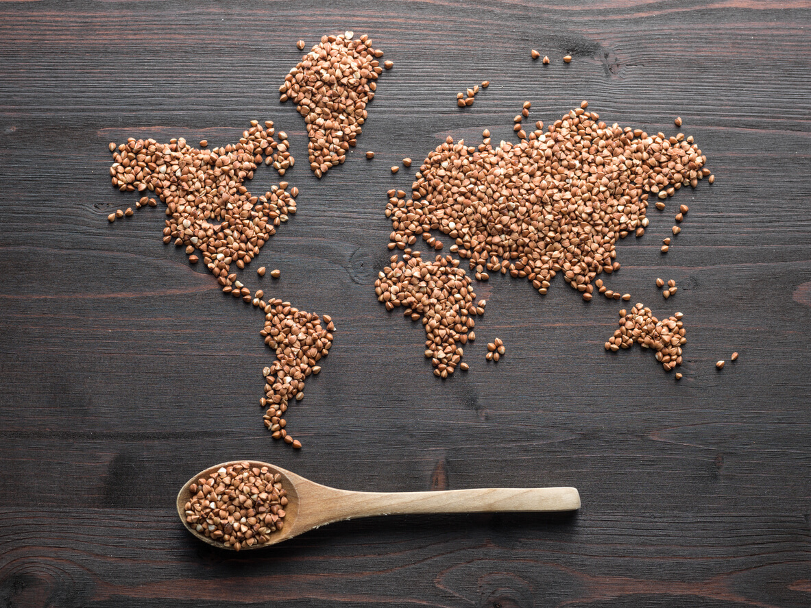 Commodity Trading Financing World Food Program Dubai / UAE